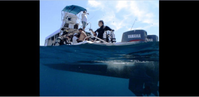 Puerto Vallarta: Exploring Majahuitas Underwater - The Overall Experience: Deep Dive into Details