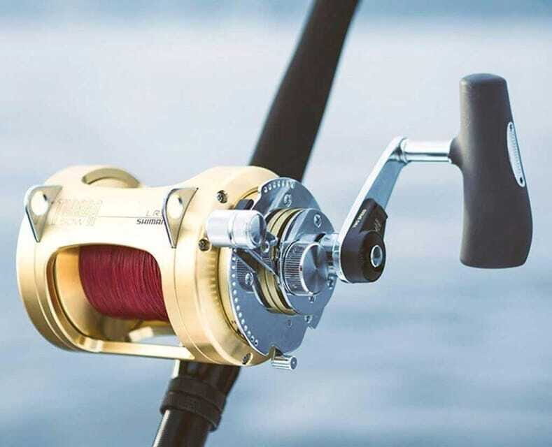 Puerto Vallarta: Fishing Cachi I 28 - Who Should Book This Tour?