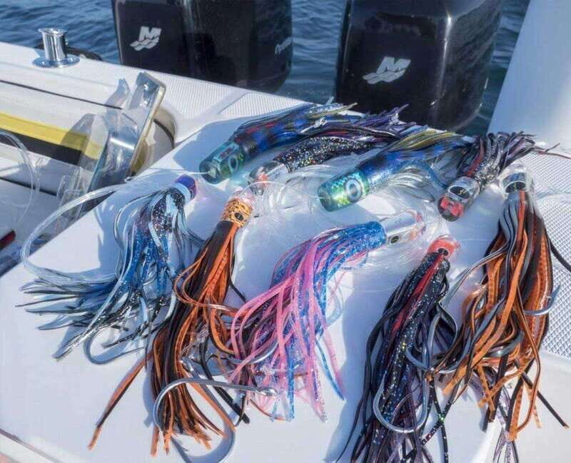 Puerto Vallarta: Fishing Lucky I 28 - Key Points