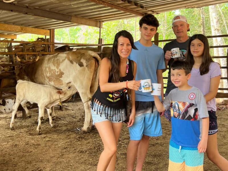 Puerto Vallarta: Hands-on Farm Experience from Cow to Cheese - Introduction