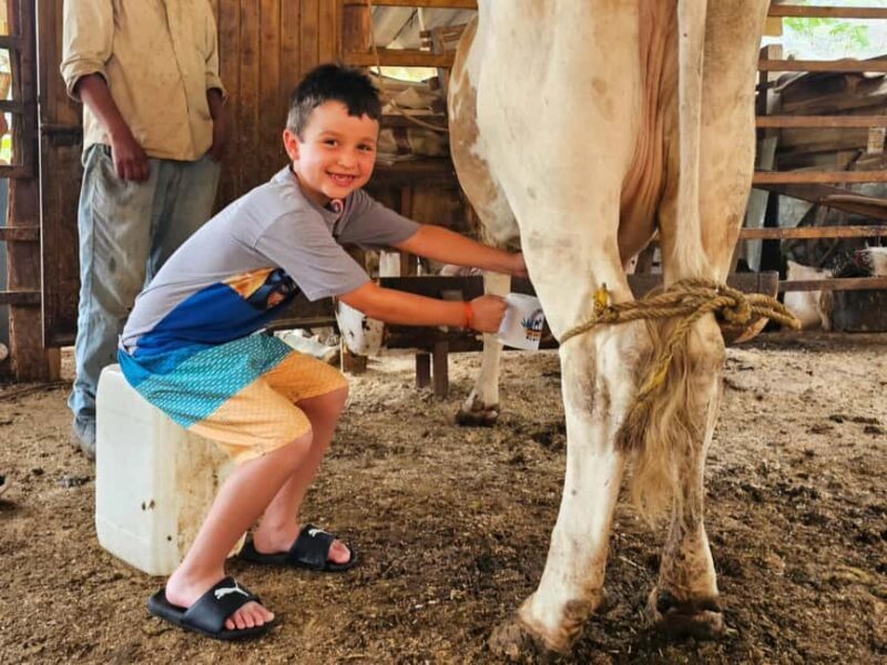 Puerto Vallarta: Hands-on Farm Experience from Cow to Cheese - Key Points