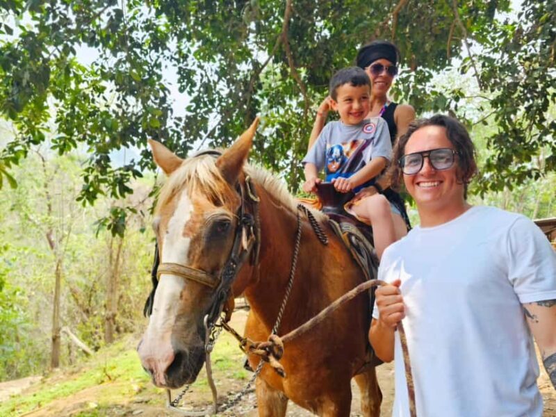 Puerto Vallarta: Hands-on Farm Experience from Cow to Cheese - The Itinerary in Detail