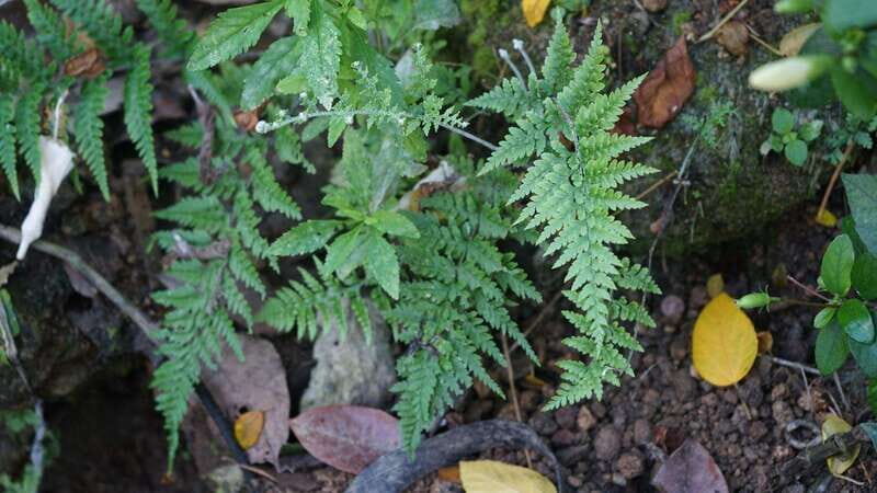 Puerto Vallarta: Hidden Beaches and Sea Adventures - Key Points