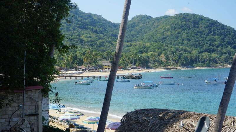 Puerto Vallarta: Hidden Beaches and Sea Adventures - Final Thoughts: Who Should Book This Tour?