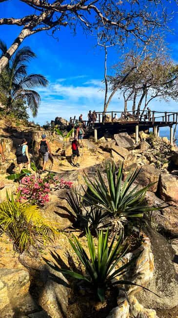 Puerto Vallarta: Hiking Trail, 6 Hidden Beaches & Zipline. - Key Points