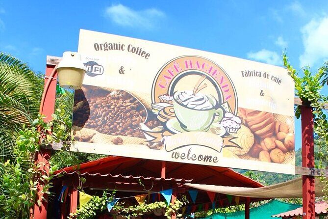 Puerto Vallarta History and Culture with Flavors Discovery - The Sum Up: Who Should Consider This Tour?