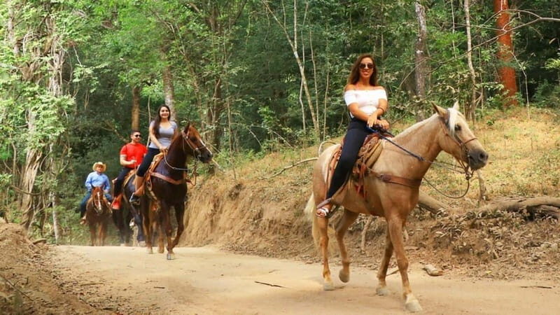 Puerto Vallarta: Horseback Riding Adventure at Canopy River - Final Thoughts: Who Will Love This Tour?
