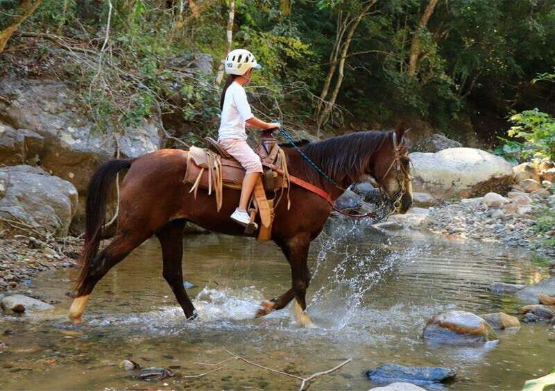 Puerto Vallarta: Horseback Riding + Jorullo Bridge Pass - Puerto Vallarta: Horseback Riding + Jorullo Bridge Pass — An Authentic Adventure in Jalisco
