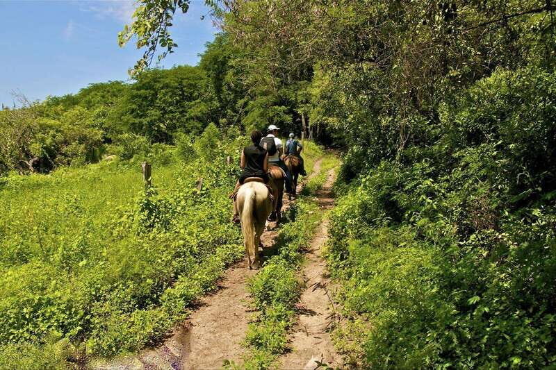 Puerto Vallarta Horseback Riding - Value for Money