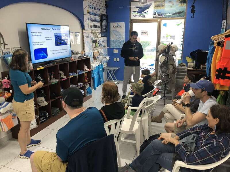 Puerto Vallarta: Humpback Whale Research Adventure Tour - The Experience in Detail
