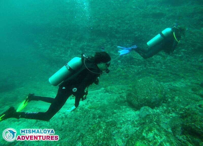 Puerto Vallarta: Los Arcos de Mismaloya, diving for beginners. - FAQs