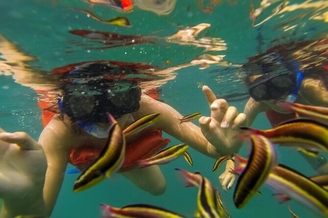 Puerto Vallarta: Marietas Islands with Open Bar and Food - Food and Drinks