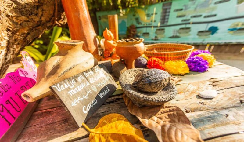 Puerto Vallarta: Mexican Cooking Class, Pueblos, & Food Tour - A Detailed Look at the Tour Experience