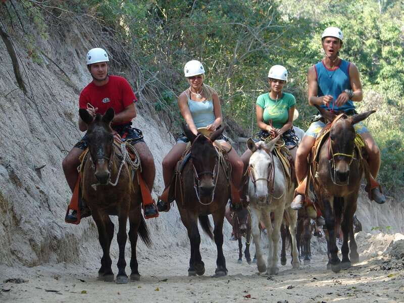 Puerto Vallarta: Outdoor Ziplines and Rappel Adventure - Key Points