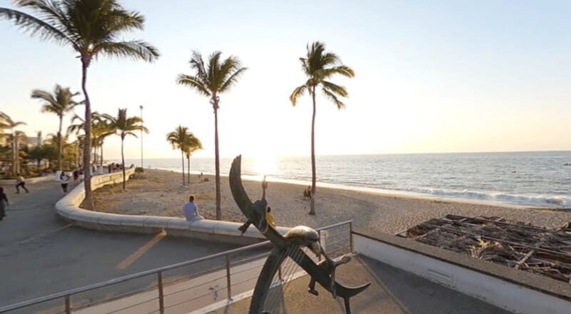 Puerto Vallarta: Parasailing Experience - What to Expect During Your Puerto Vallarta Parasailing Adventure