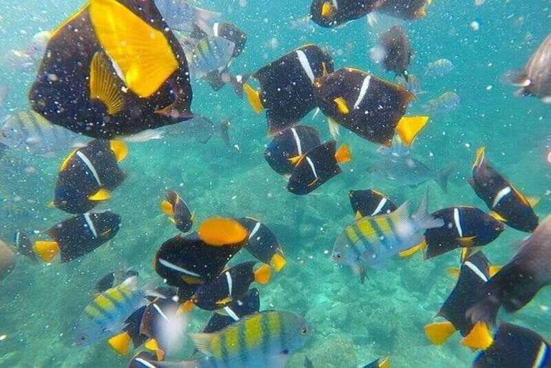 Puerto Vallarta: Pirate Ship Adventure - What’s Included and Why It Matters