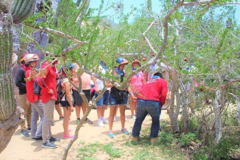 Puerto Vallarta: Predator Zipline & Jungle Adventure - The Sum Up