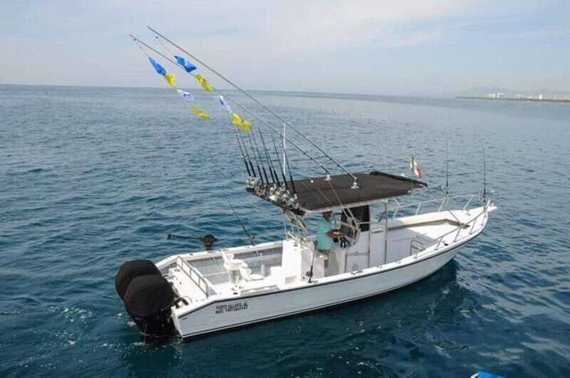 Puerto Vallarta: Private Ocean Adventure - Key Points