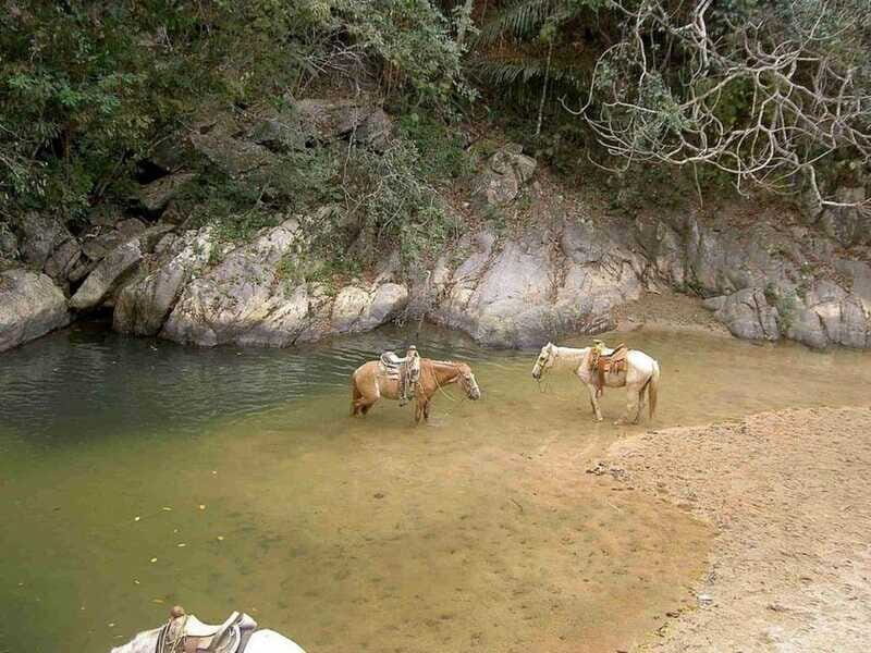 Puerto Vallarta: Private Tour Hiking Quimixto Waterfall - Final Thoughts