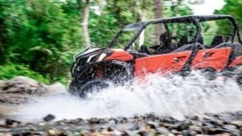 Puerto Vallarta: RZR Adventure and Zip Line Fun at El Eden - Authentic Experiences and Unique Touches