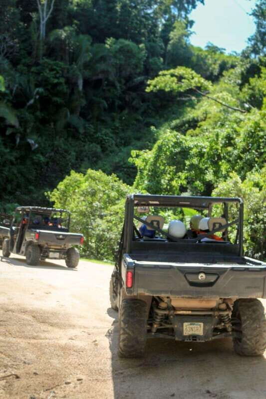 Puerto Vallarta: RZR Adventure and Zip Line Fun at El Eden - The Sum Up
