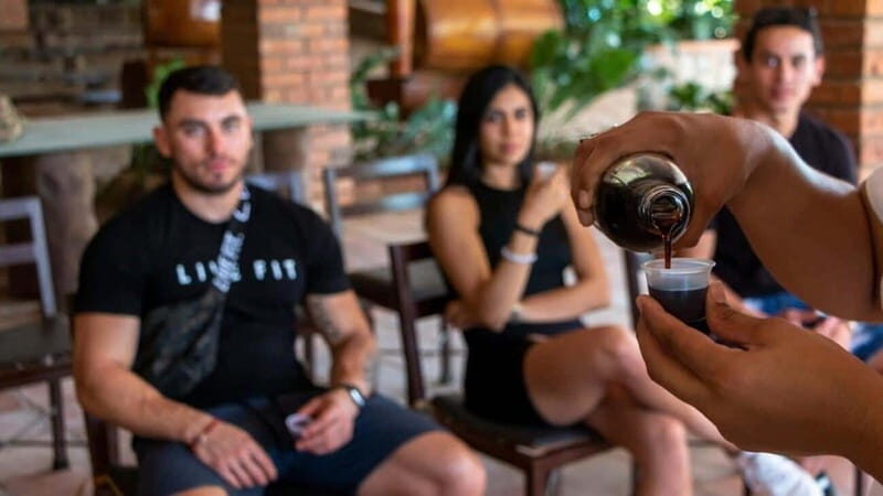 Puerto Vallarta: RZR Canopy River - A Closer Look at the Itinerary and What to Expect