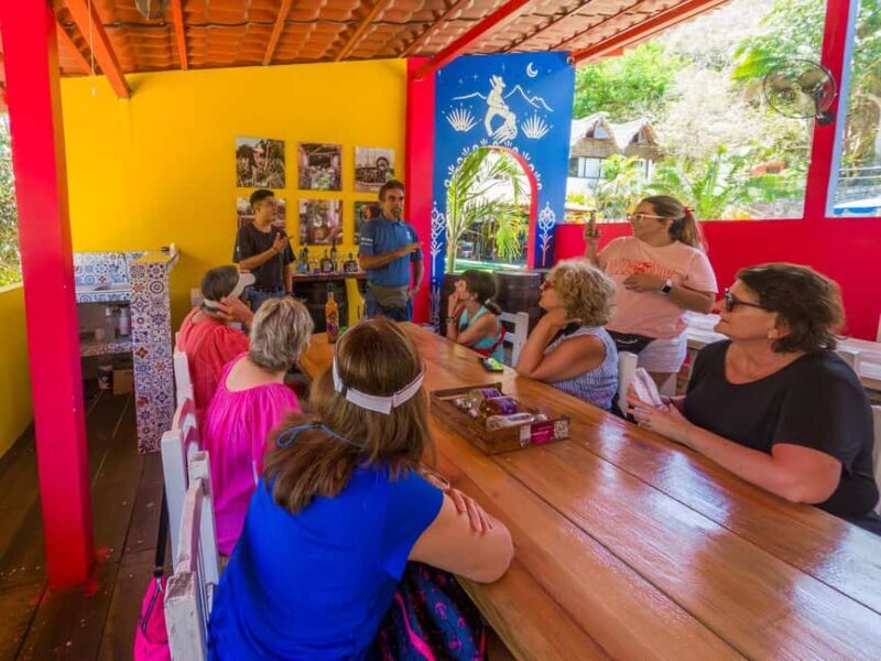 Puerto Vallarta: Sayulita and San Pancho Beaches Tour - Transportation and Group Size