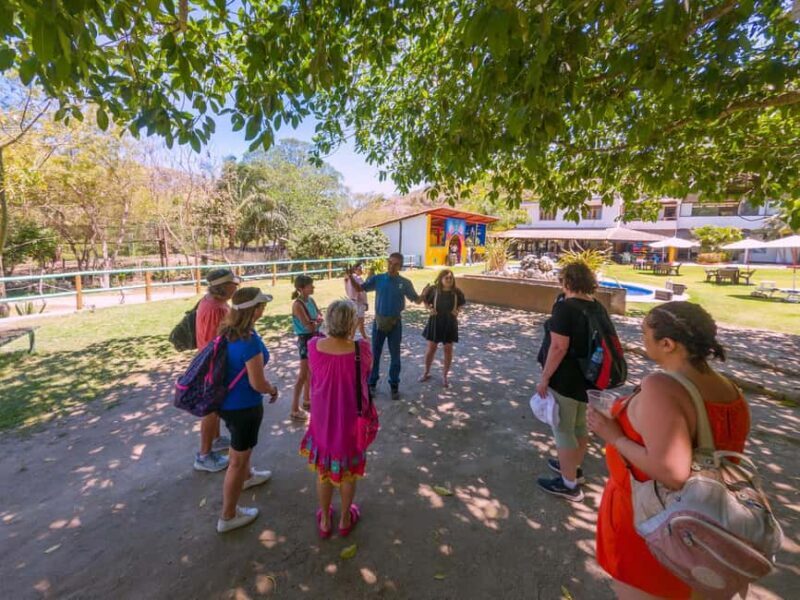 Puerto Vallarta: Sayulita and San Pancho Beaches Tour - Guide and Experience Quality