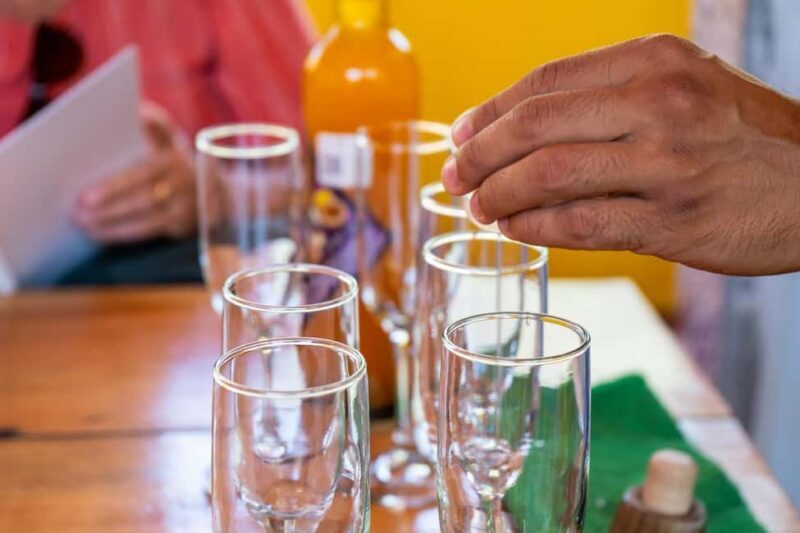 Puerto Vallarta: Sayulita and San Pancho Beaches Tour - Surfing and Free Time