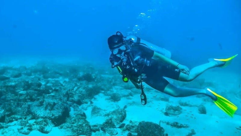 Puerto Vallarta: Scuba Dive at Los Arcos - Starting with a quick overview