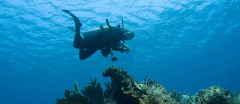 Puerto Vallarta: Scuba Dive at Los Arcos - Key Points