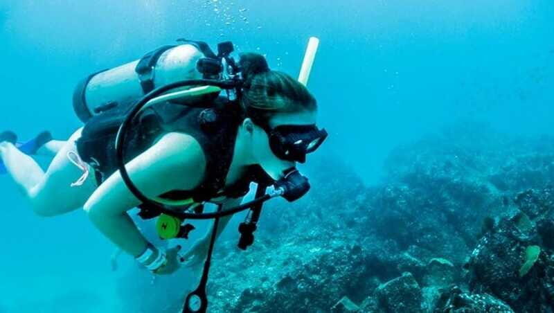 Puerto Vallarta: Scuba Dive at Los Arcos - Who Will Love This Tour?