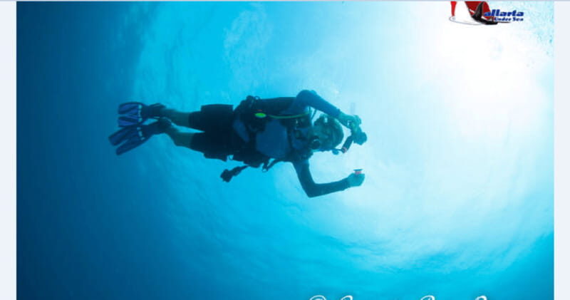 Puerto Vallarta: Scuba Diving en el Morro - Why This Tour Stands Out