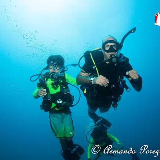 Puerto Vallarta: Scuba Diving Expedition at El Malinal - The Sum Up