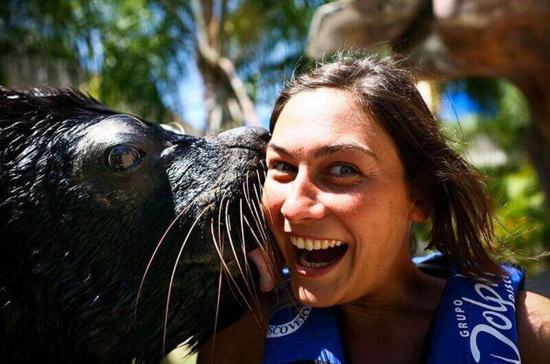 Puerto Vallarta: Sea Lion Discovery at Aquaventuras Park - What to Expect from the Sea Lion Discovery Experience