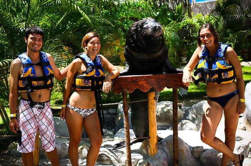 Puerto Vallarta: Sea Lion Discovery at Aquaventuras Park - Practical Details and Tips