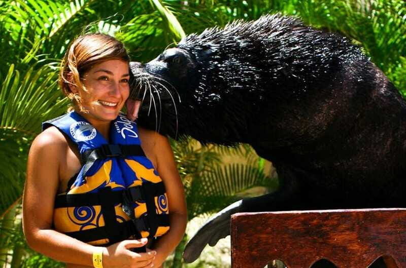Puerto Vallarta: Sea Lion Discovery at Aquaventuras Park - The Sum Up