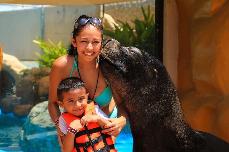 Puerto Vallarta: Sea Lion Discovery - Key Points
