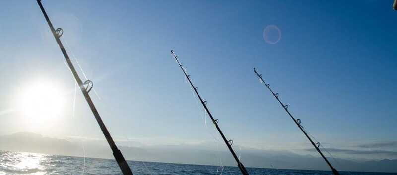 Puerto Vallarta: Shared Fishing - The Sum Up
