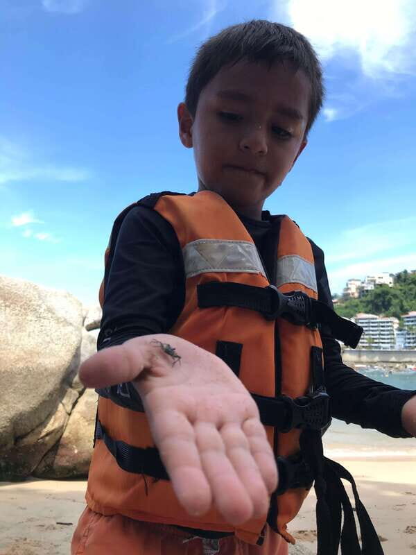 Puerto Vallarta: Snorkeling Tour to Los Arcos de Mismaloya - Final Thoughts