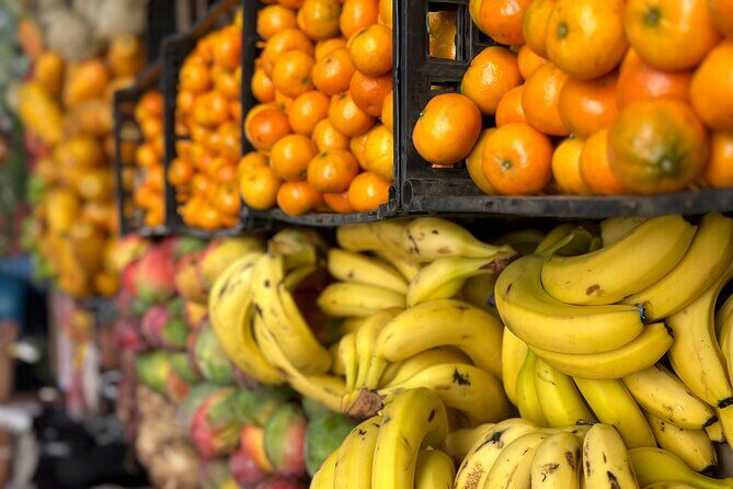 Puerto Vallarta Taco Tour - with bonus Tequila Tasting - An In-Depth Look at the Puerto Vallarta Taco Tour