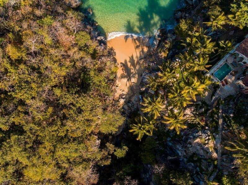 Puerto Vallarta: The Predator of the Sea - Key Points