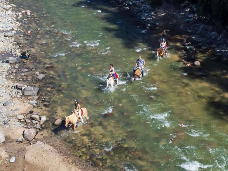 Puerto Vallarta: Tropical Forest Horseback Riding Adventure - Key Points