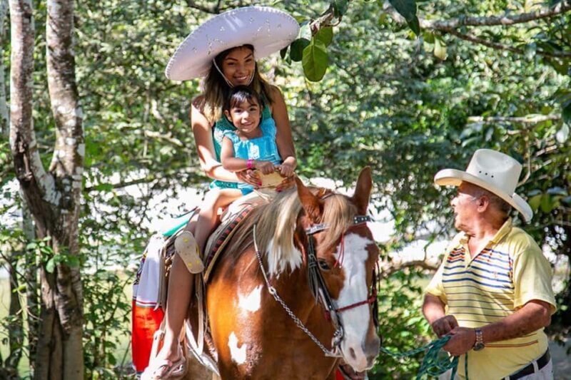 Puerto Vallarta: Tropical Tour - Key Points