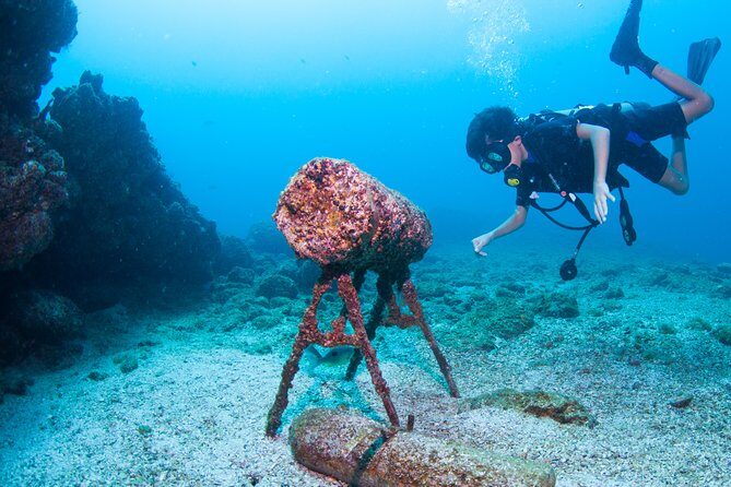 Puerto Vallarta Undersea Private Scuba Diving - The Sum Up: Who Is This Tour Best For?