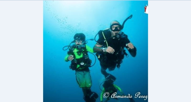 Puerto Vallarta: Underwater Wonderland at Los Arcos - Who Should Consider This Tour?