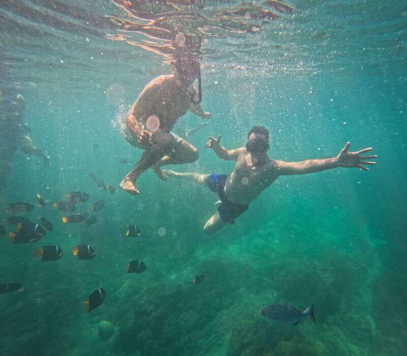 Puerto Vallarta: Zipline Tour, Snorkel & Secret Beach Escape - An Authentic Puerto Vallarta Adventure