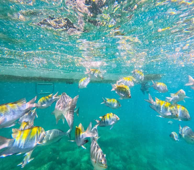 Puerto Vallarta: Zipline Tour, Snorkel & Secret Beach Escape - Relaxing on a Secluded Beach