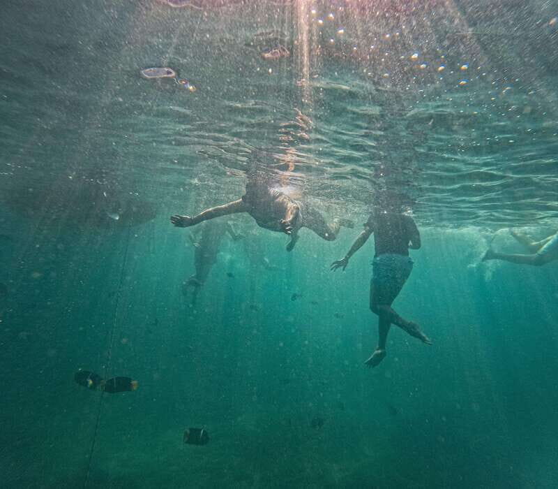 Puerto Vallarta: Zipline Tour, Snorkel & Secret Beach Escape - Final Thoughts