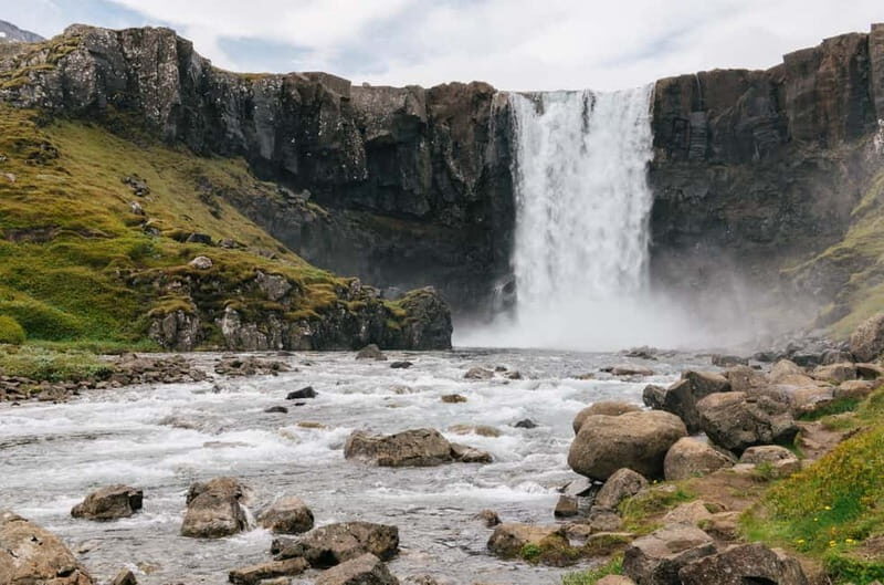 Puffin & Gufufoss Waterfall Tour from Seydisfjordur Port - Transportation and Overall Experience
